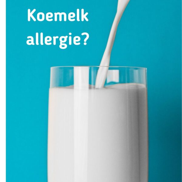 AIP een voorbeeld dagmenu